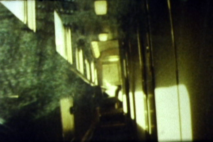 Fallen Flags - americas.dafilms.com | watch online