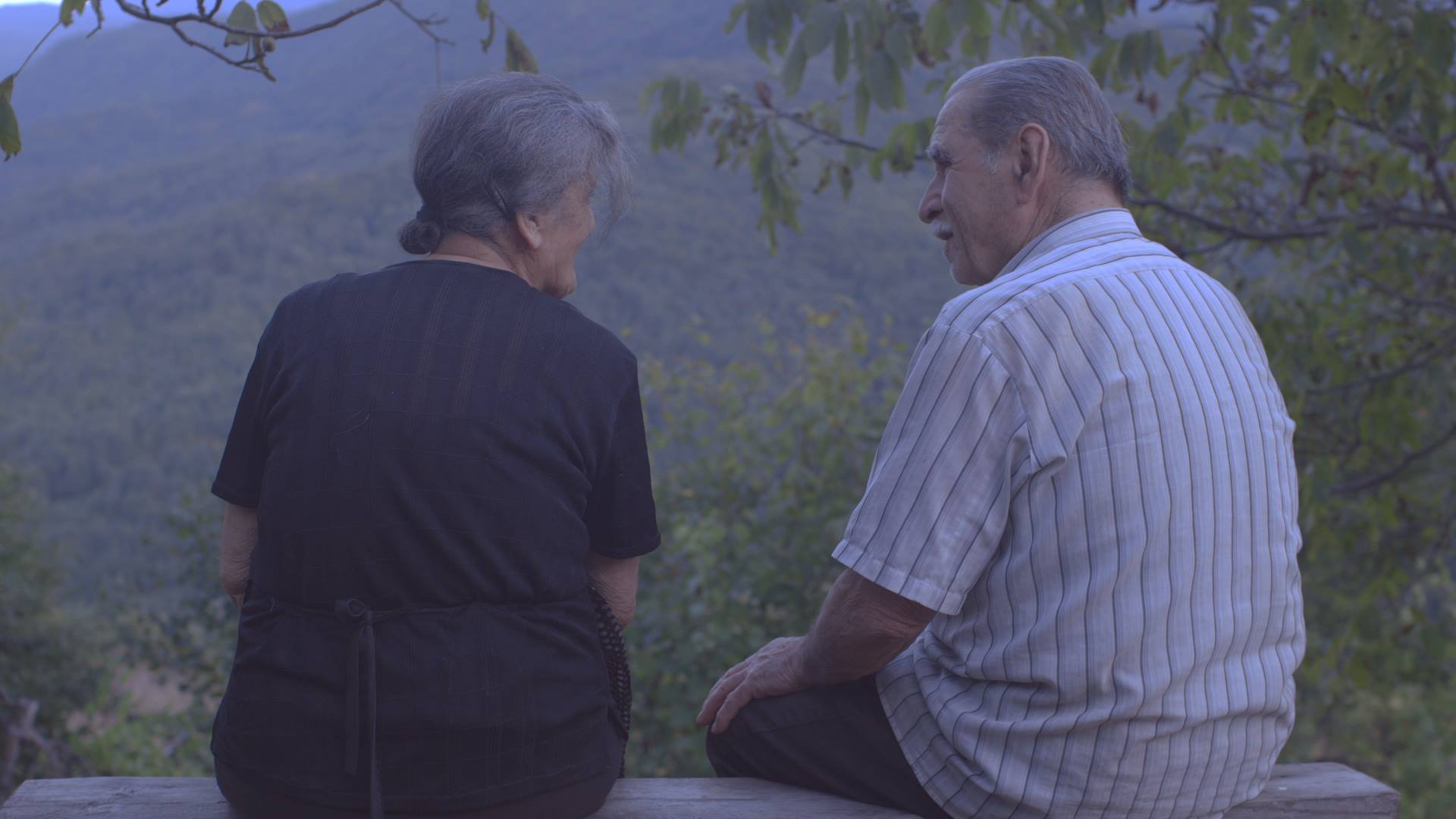 Nanuli and Gogi - americas.dafilms.com | watch online