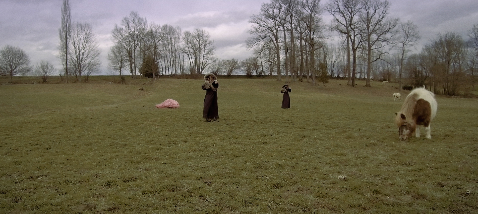 How glorious it is to be a human being - americas.dafilms.com | watch ...