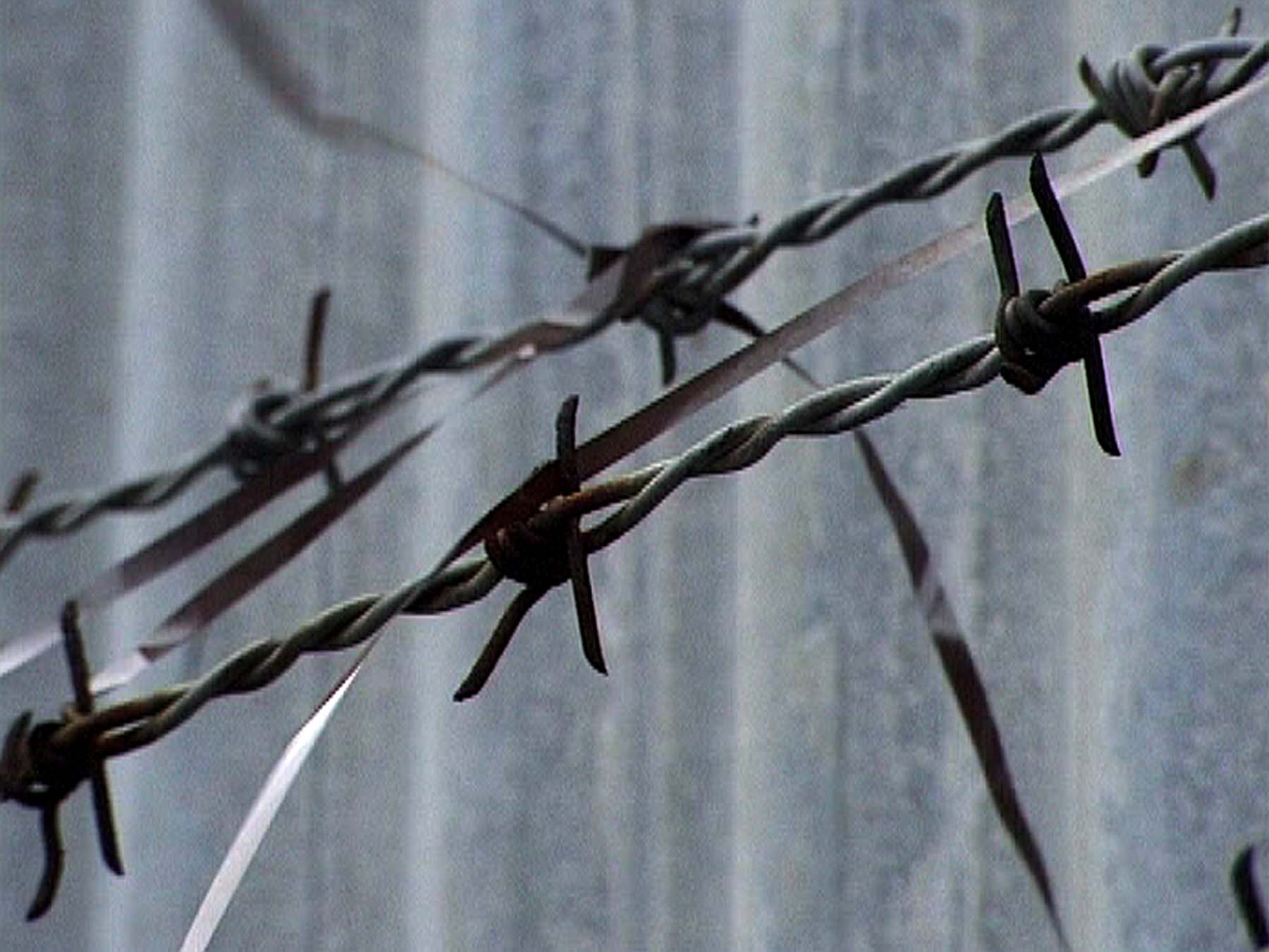 Lost Sound - americas.dafilms.com | watch online