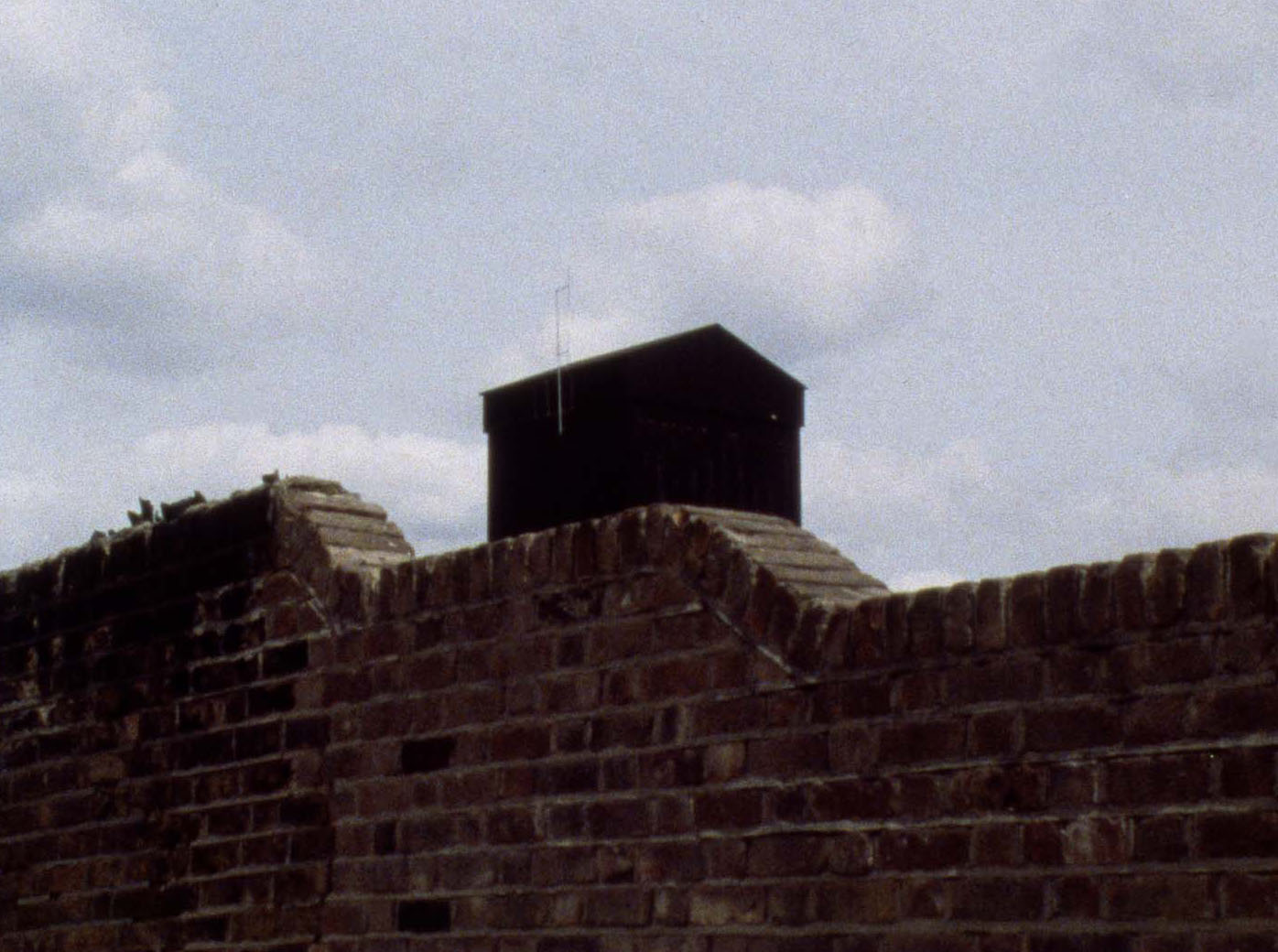 The Black Tower - americas.dafilms.com | watch online
