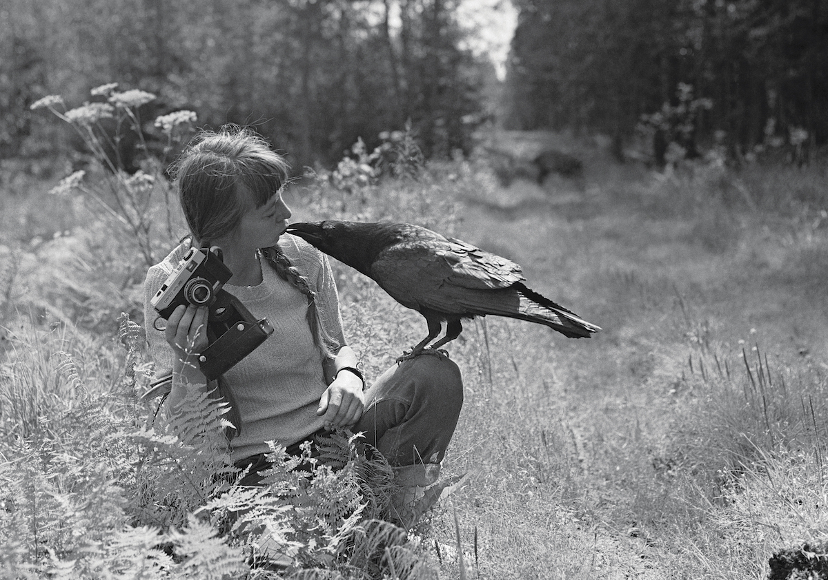 Simona - americas.dafilms.com | watch online