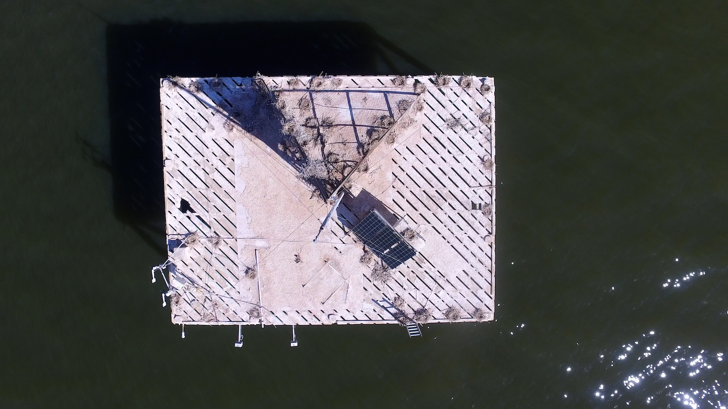 Marine Target - americas.dafilms.com | watch online