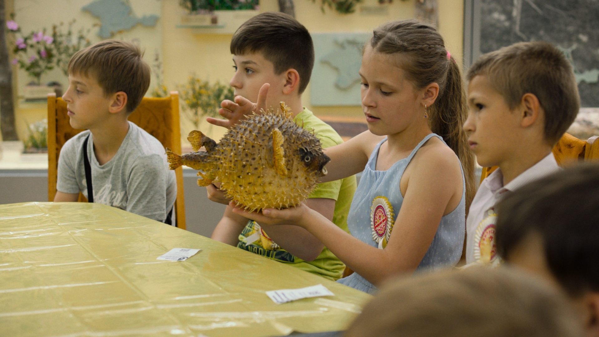 Paleontology Lesson - americas.dafilms.com | watch online